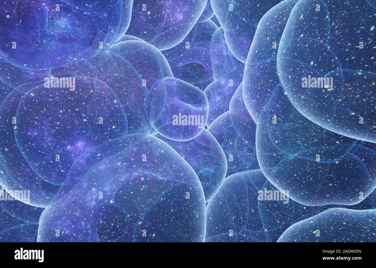 Bubble universes. Illustration of 'bubble' universes that may have ...