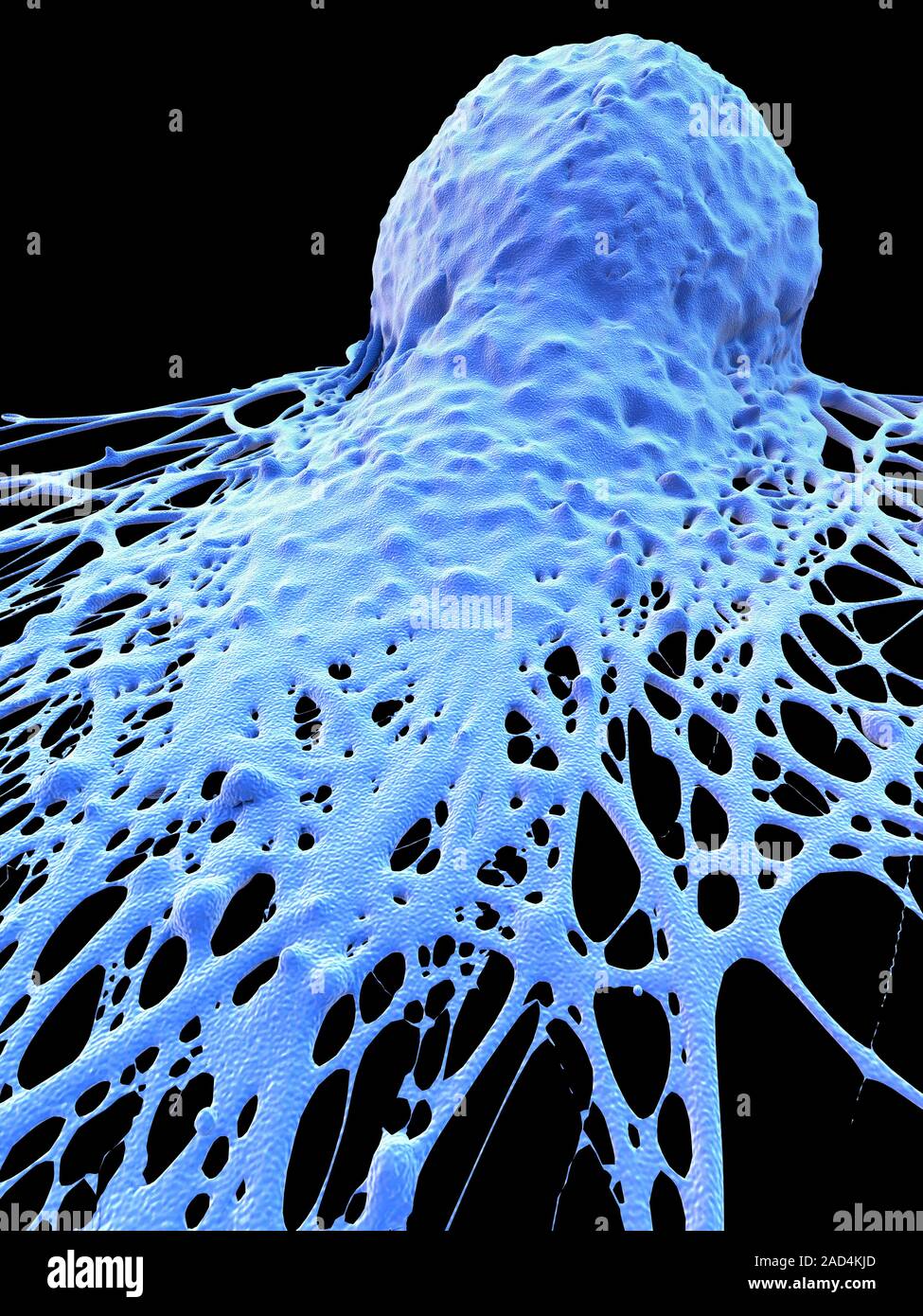 Cancer cell. Computer illustration of cancer cell Stock Photo - Alamy