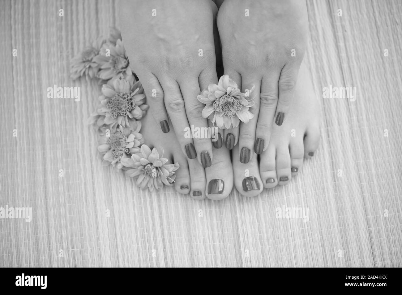 Woman feet hands flower Black and White Stock Photos & Images - Alamy