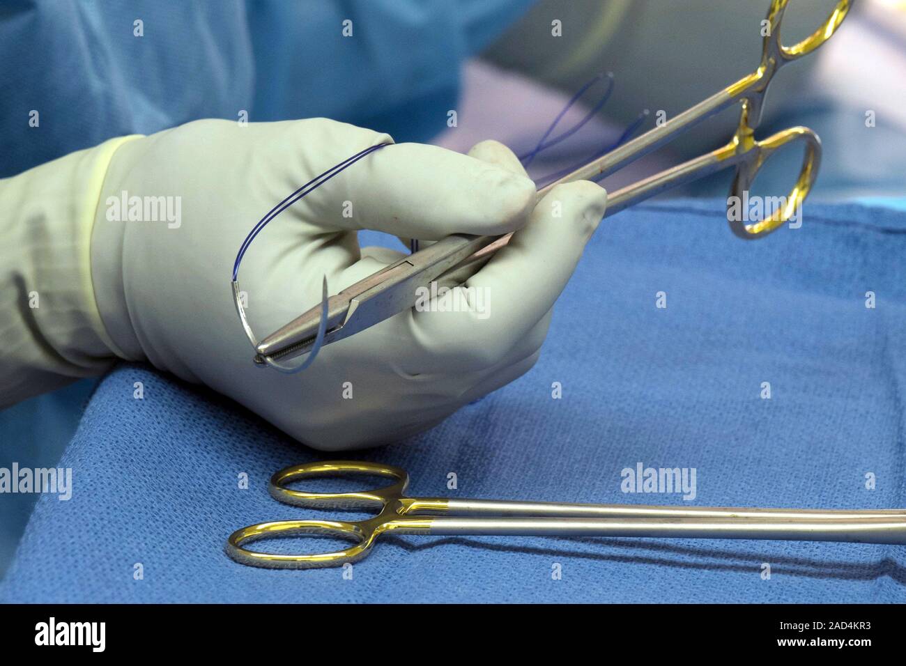 Needle driver and suture. Close-up of a scrub technician holding a ...