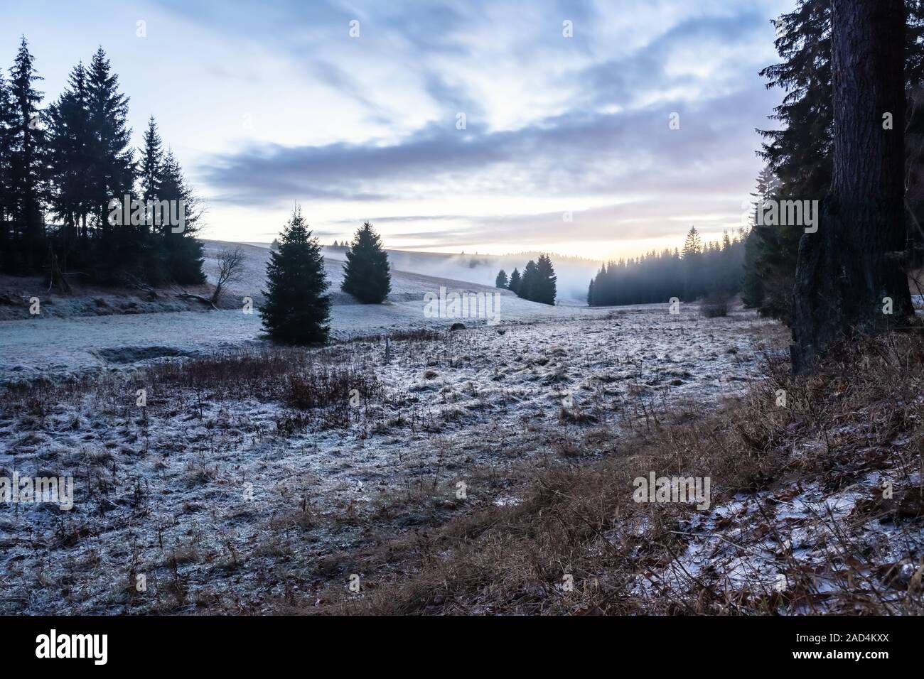 Flat valley with a river meadow covered with ice at the blue hour ...