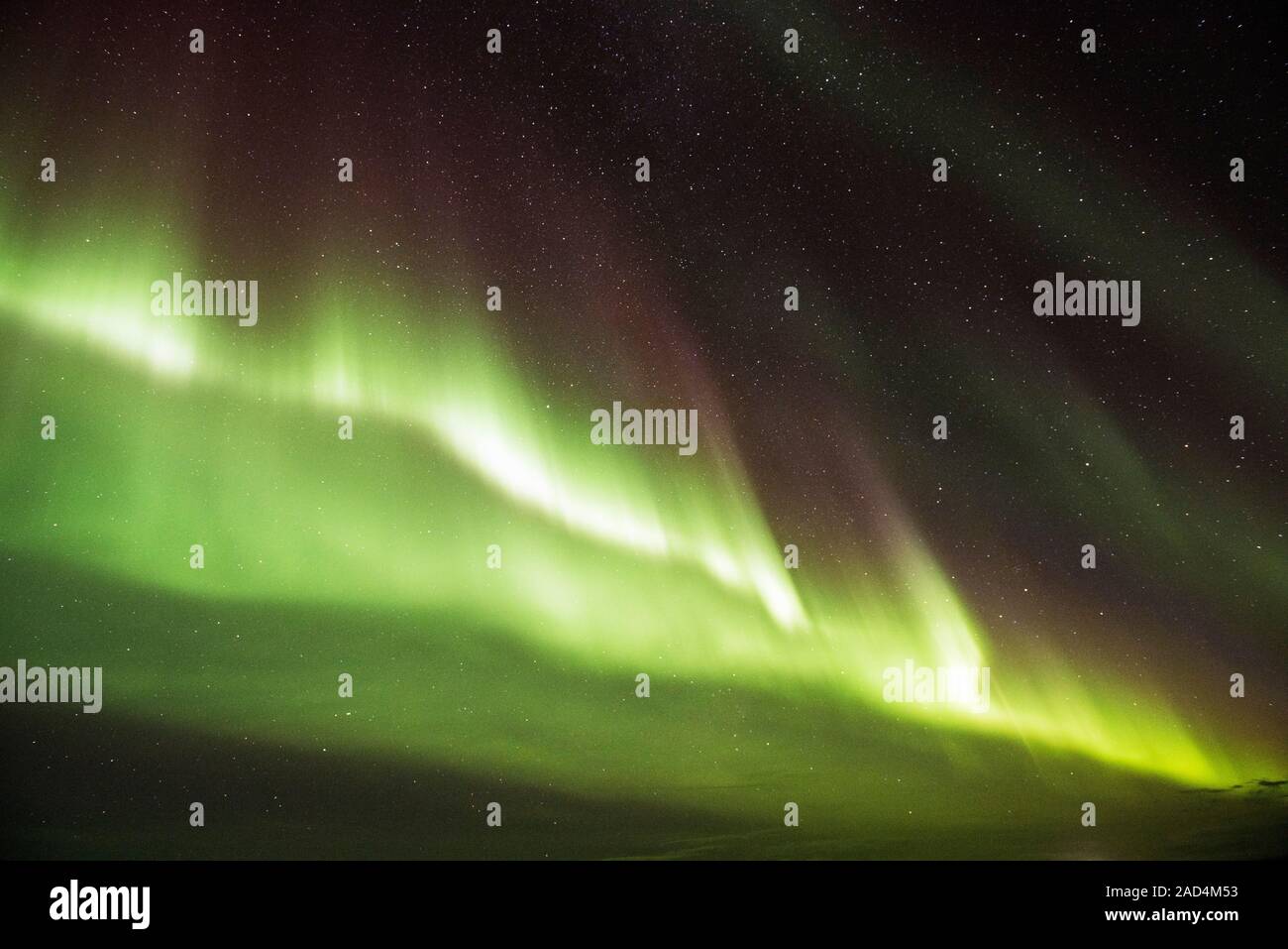 Northern lights. The Northern lights (aurora borealis) is a coloured ...