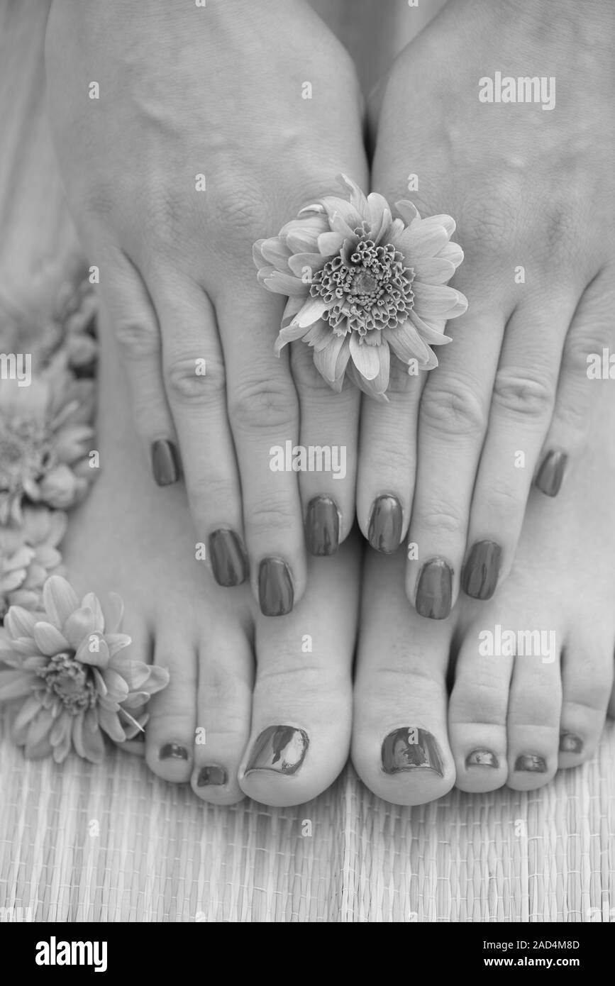 Salon closeup Black and White Stock Photos & Images - Alamy