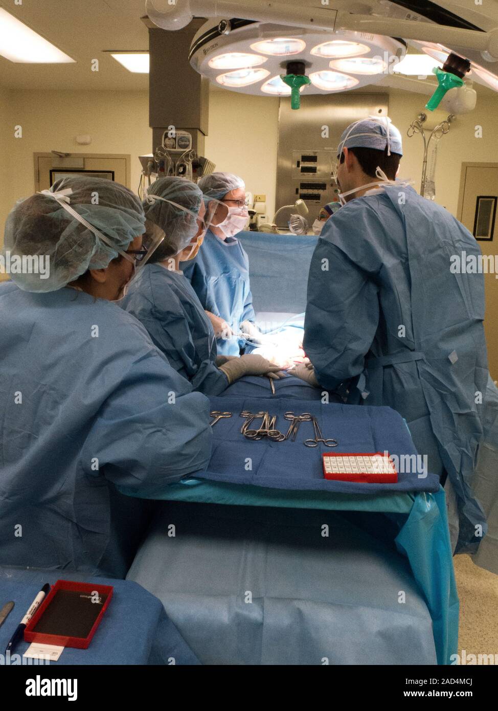 Bowel obstruction surgery. Surgical team at work in the operating room ...