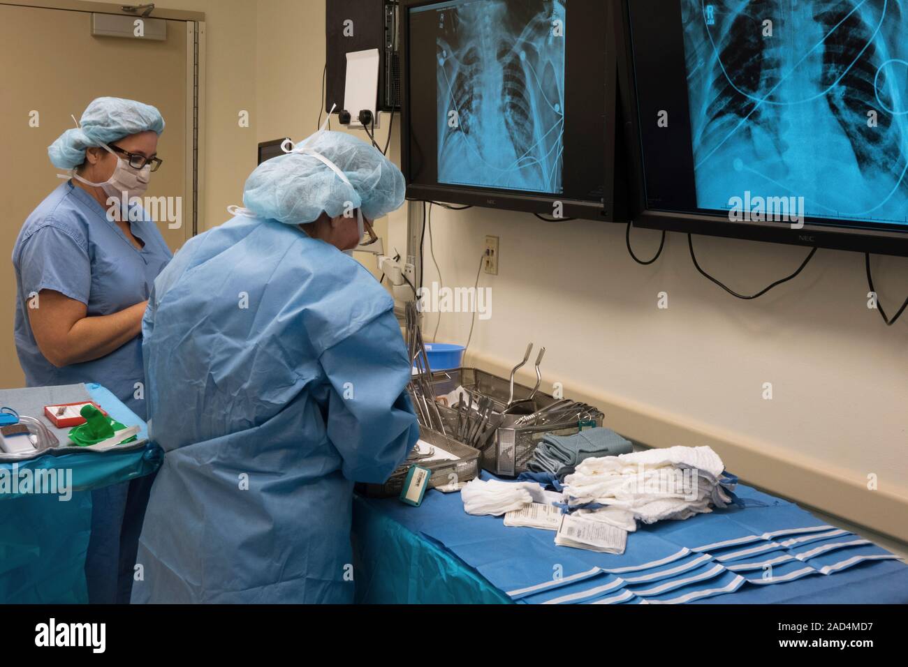Instrument count before surgery. Circulating nurse and scrub nurse ...