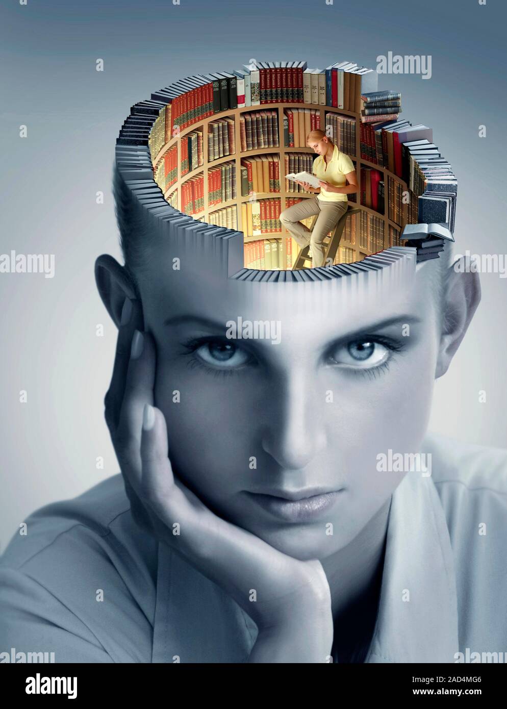 Reading and memory. Conceptual image of a woman with her brain depicted ...