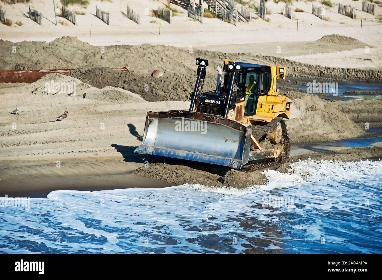 Beach conservation. Digger being used to rebuild eroded beaches at ...