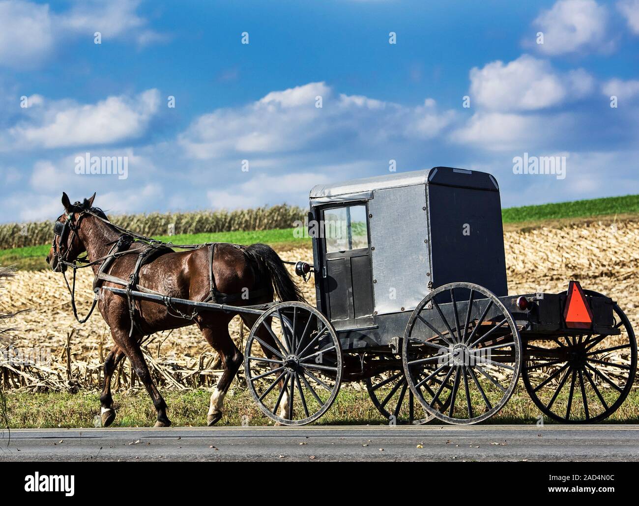 Amish horse carriage. Amish horse-drawn carriage (buggy) on a street ...