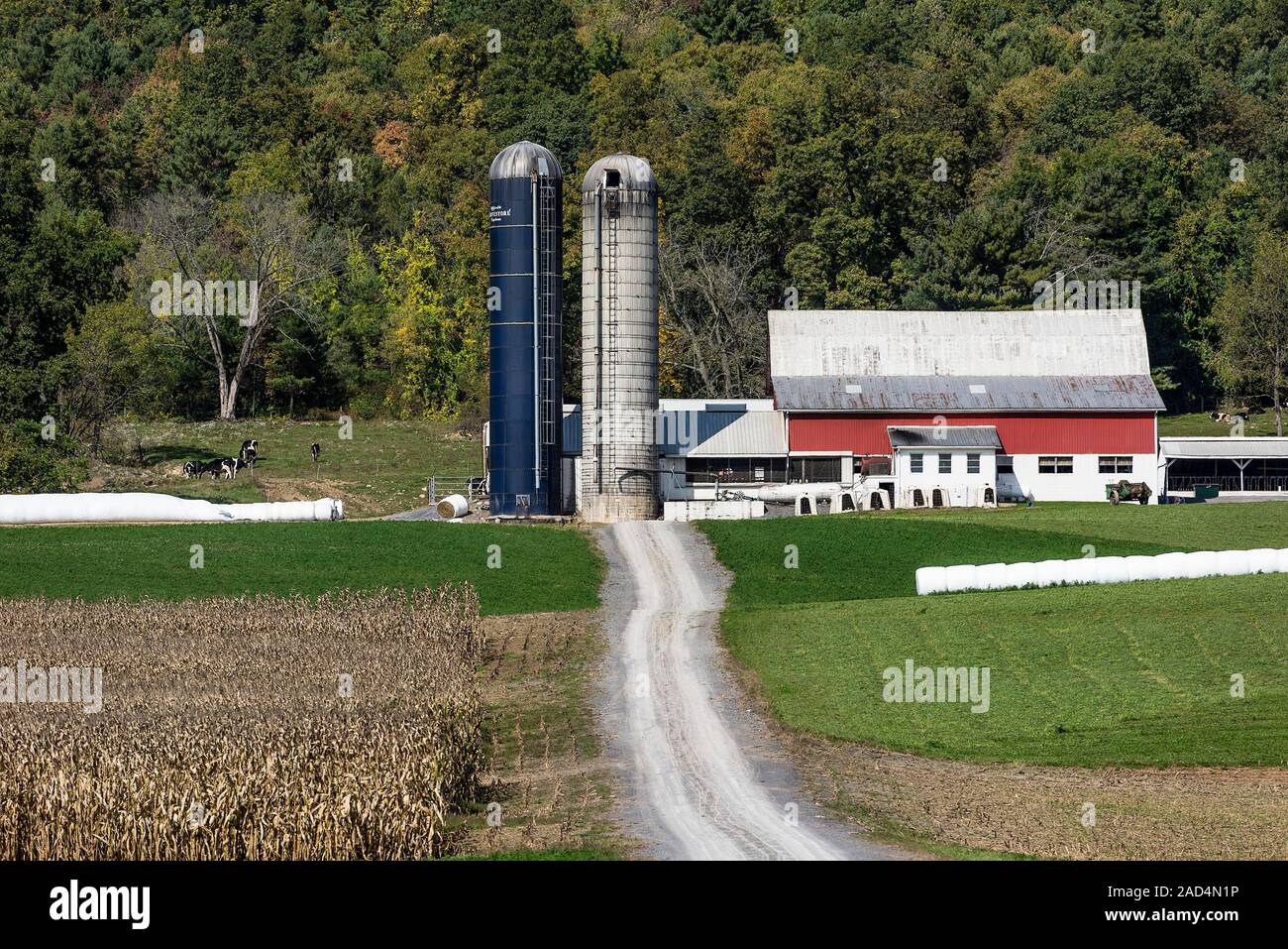 Pennsylvanian farm. View across fields towards farm buildings ...