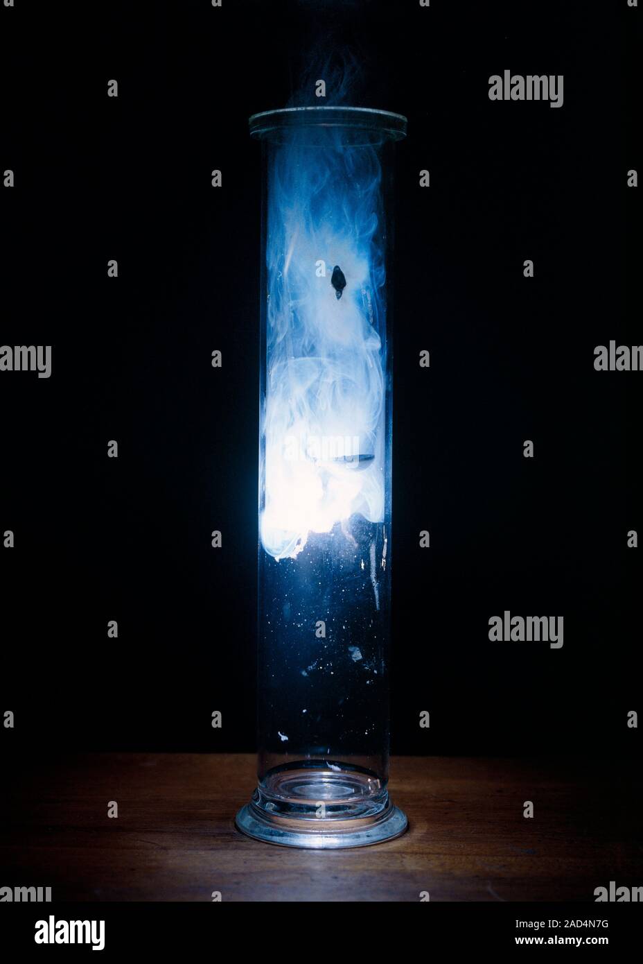 Magnesium ribbon burning in a cylinder of oxygen. Magnesium metal burns ...