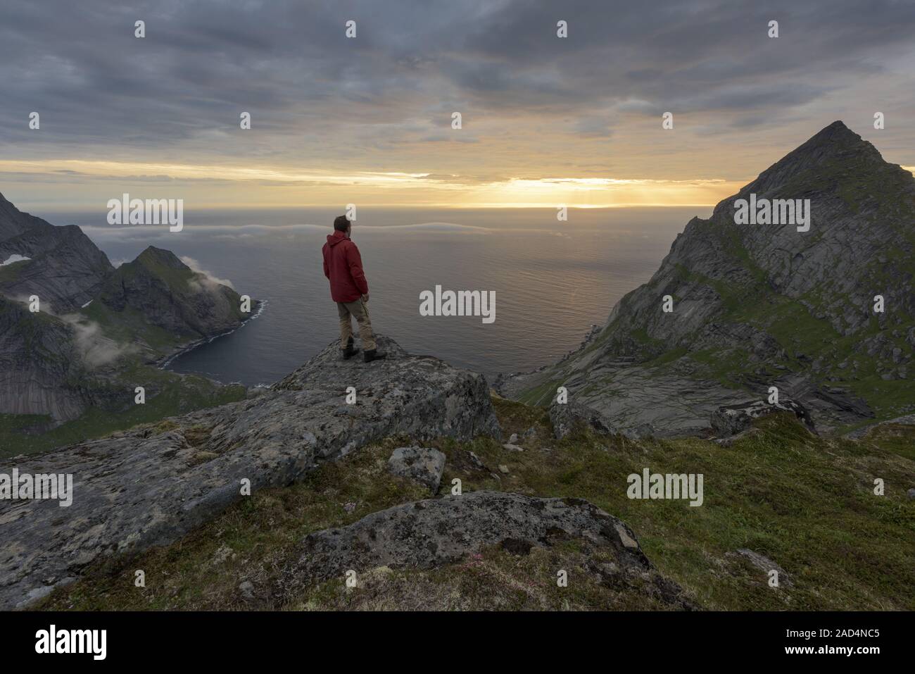 Man watching over the Atlantic, Moskenesoeya, Lofoten, Norway Stock ...