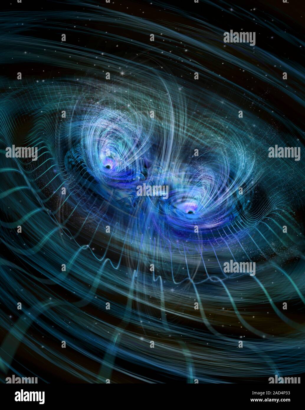 Black hole merger and gravitational waves. Illustration of the merger of two black holes (centre ...