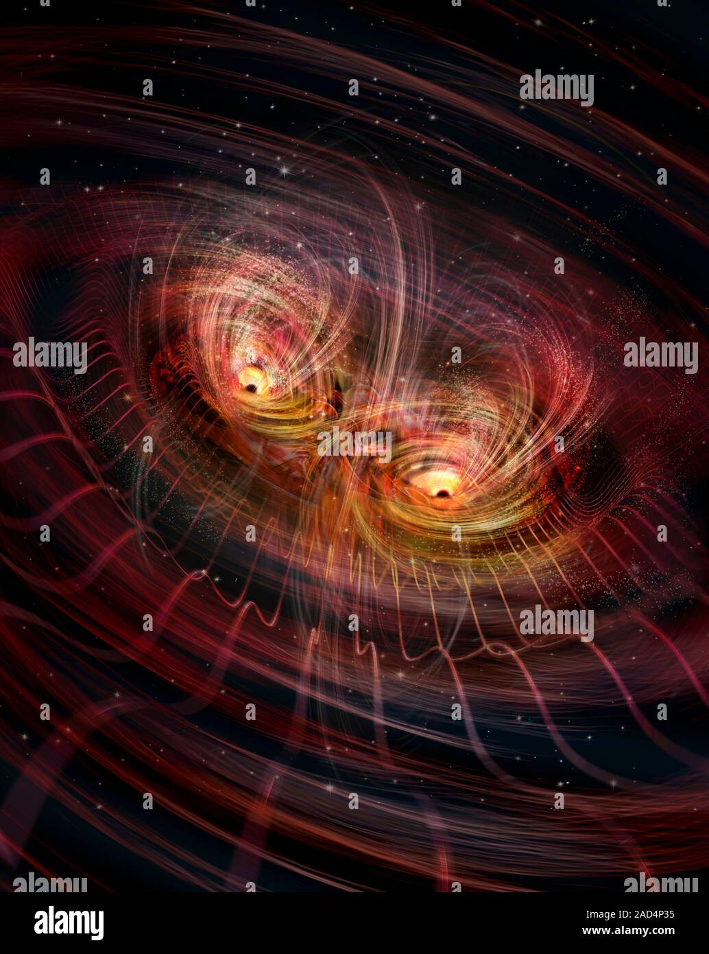 Black hole merger and gravitational waves. Illustration of the merger ...
