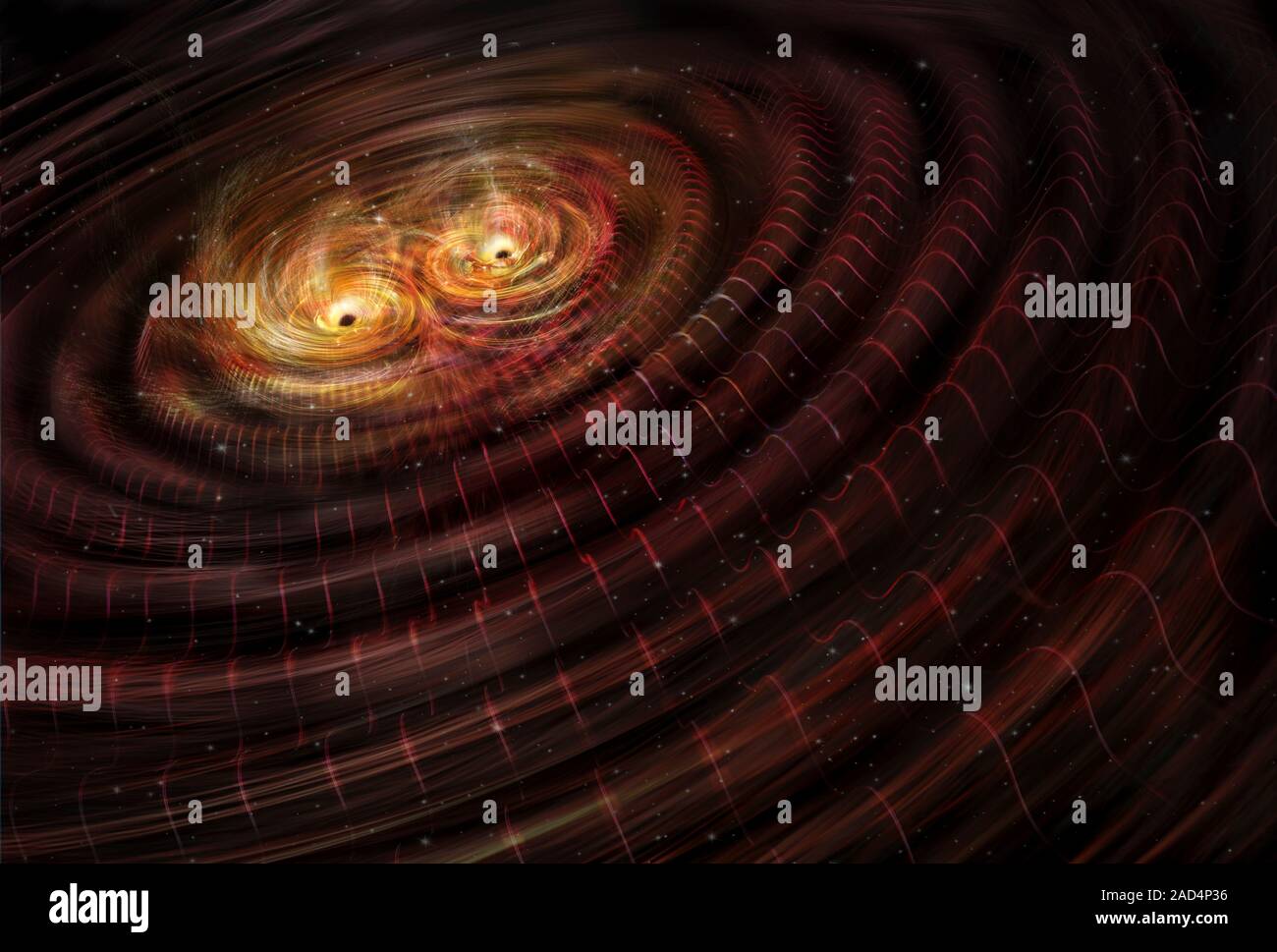 Black hole merger and gravitational waves. Illustration of the merger of two black holes (upper ...