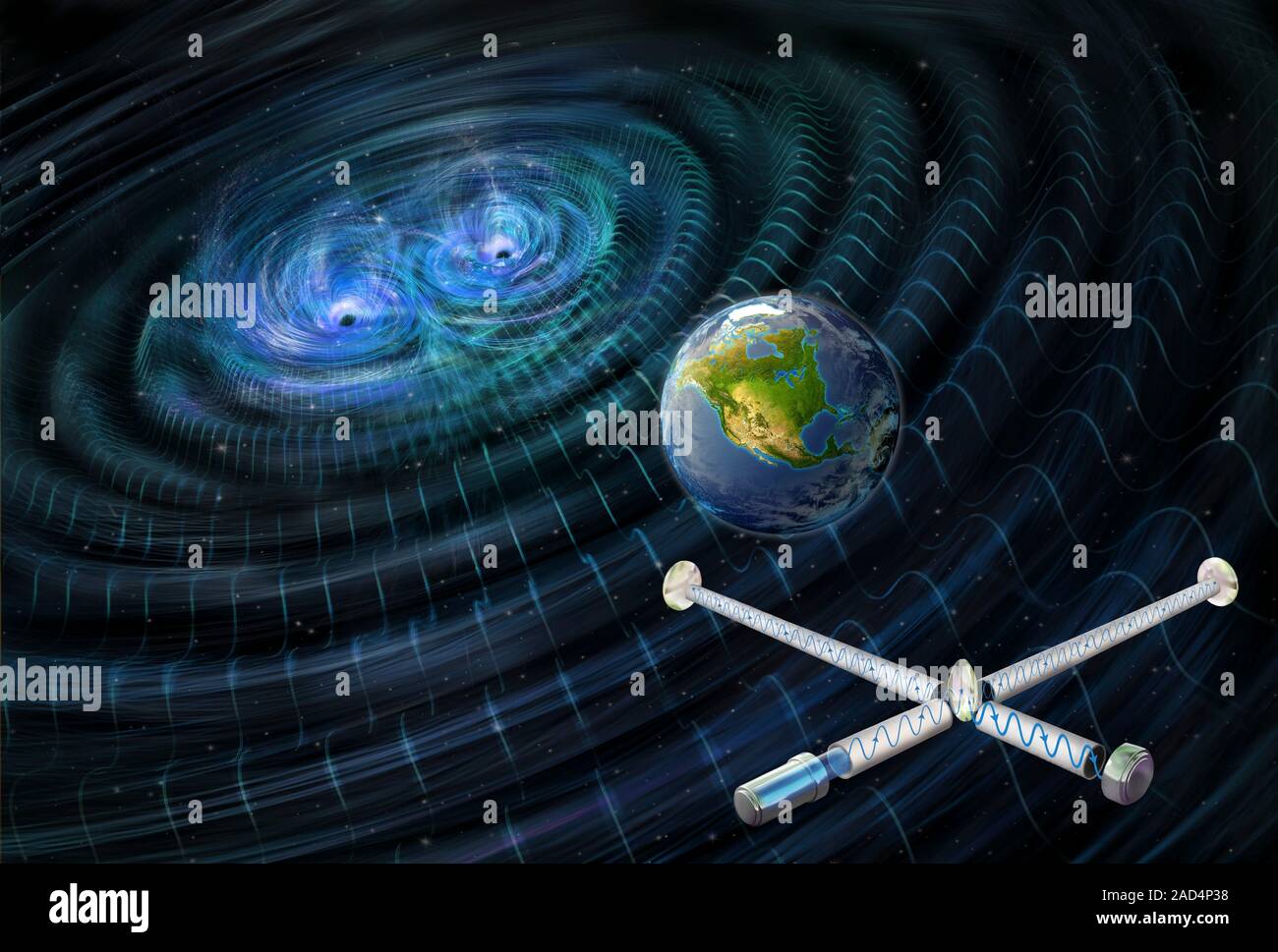 LIGO detection of gravitational waves. Illustration of the merger of ...