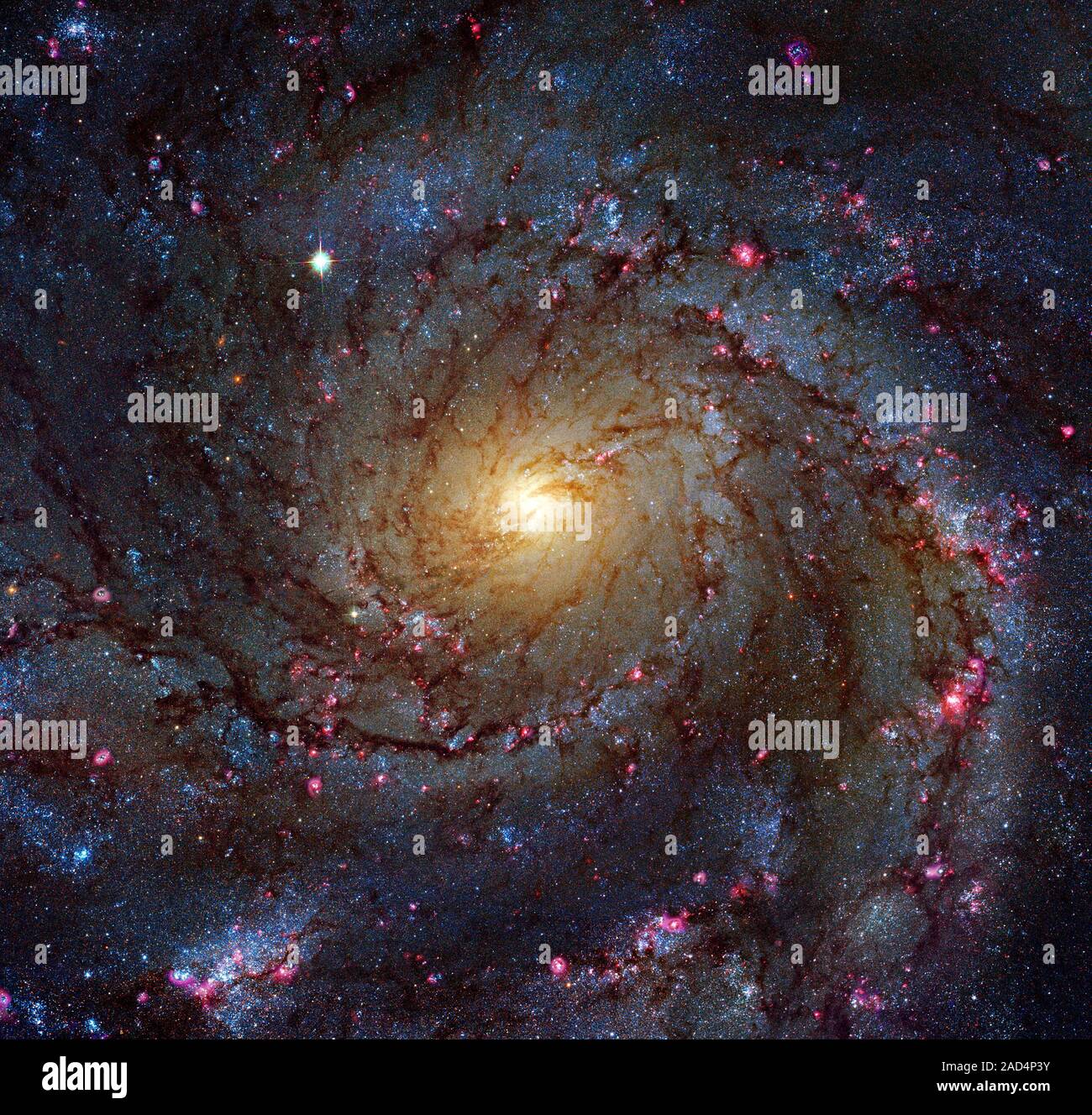 Pinwheel Galaxy (M101, NGC 5457), optical HST image. This is one of the ...