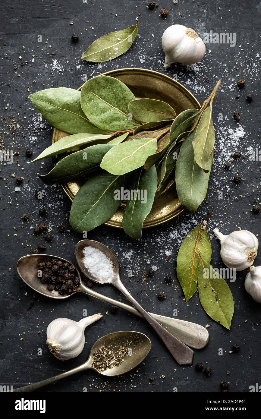 Dark culinary background with bay leaves, salt, pepper and garlic, view ...