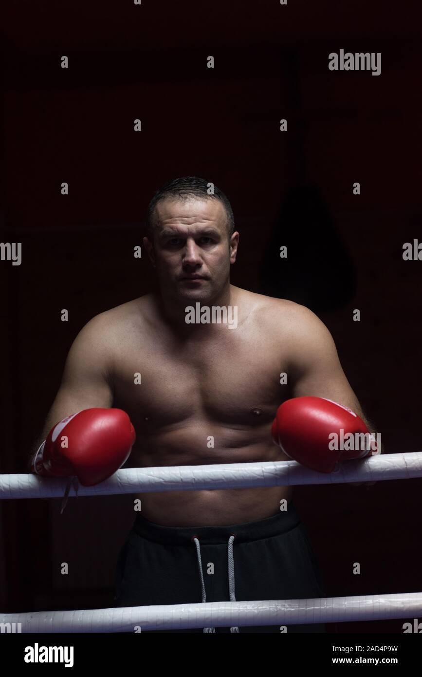 portrait of muscular professional kickboxer Stock Photo - Alamy