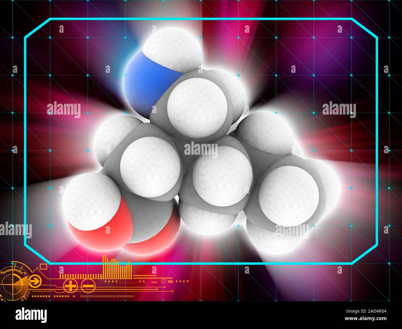 Pregabalin. Molecular model of the drug pregabalin (C8.H17.N.O2). This ...