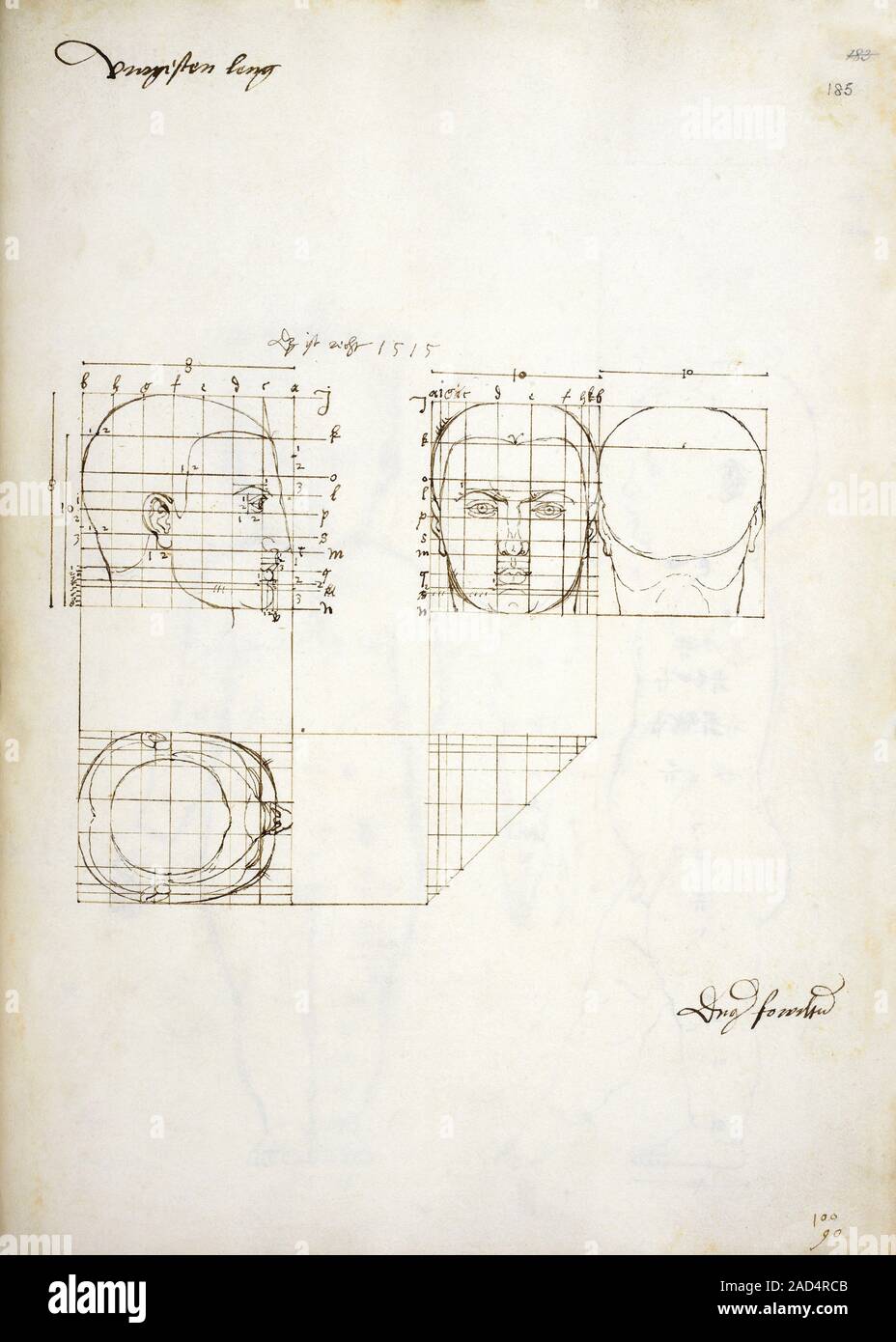 Study in human proportions by Durer. Male head (various views) as ...