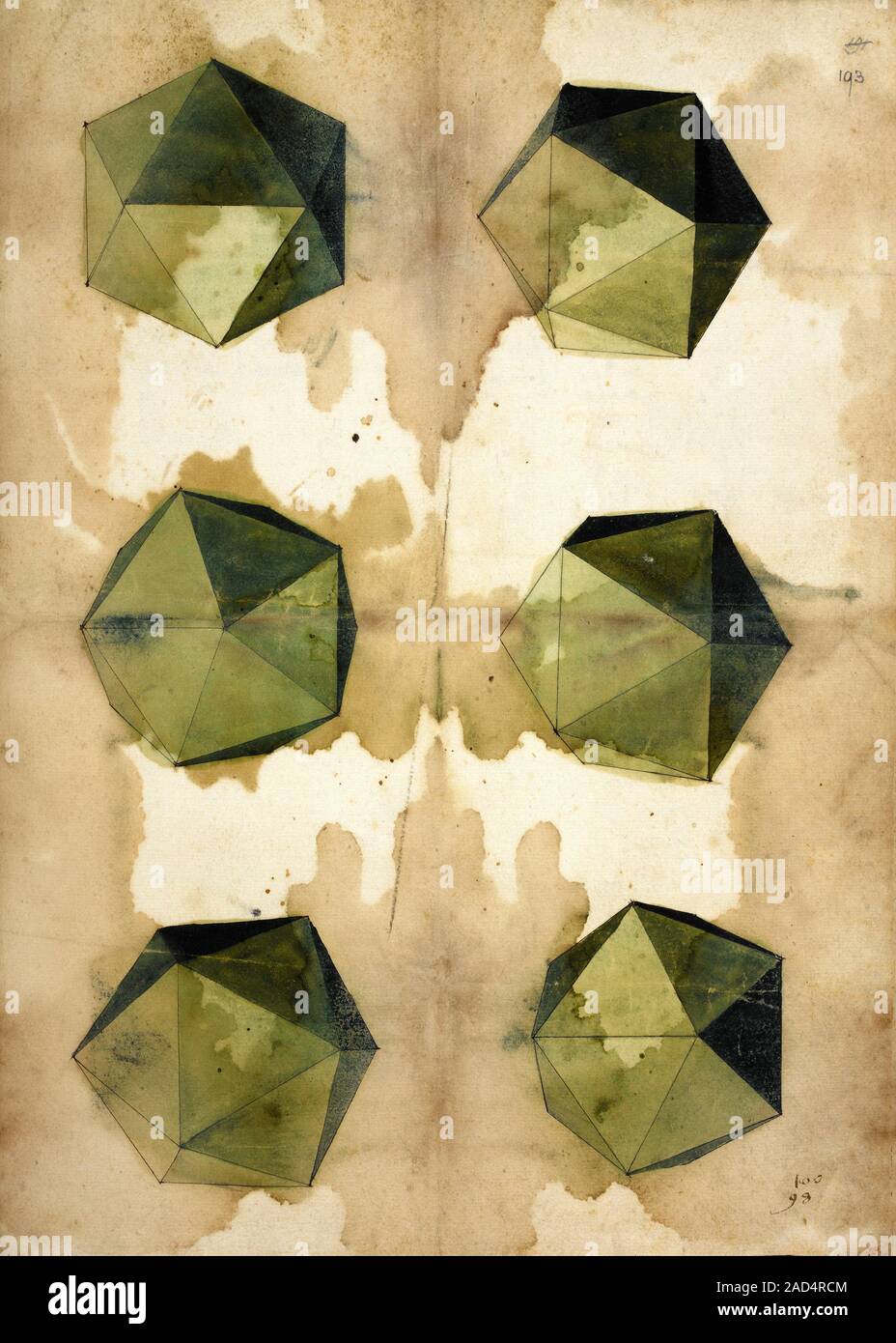 Study of polygons by Durer. Illustrations of polygons as sketched by ...