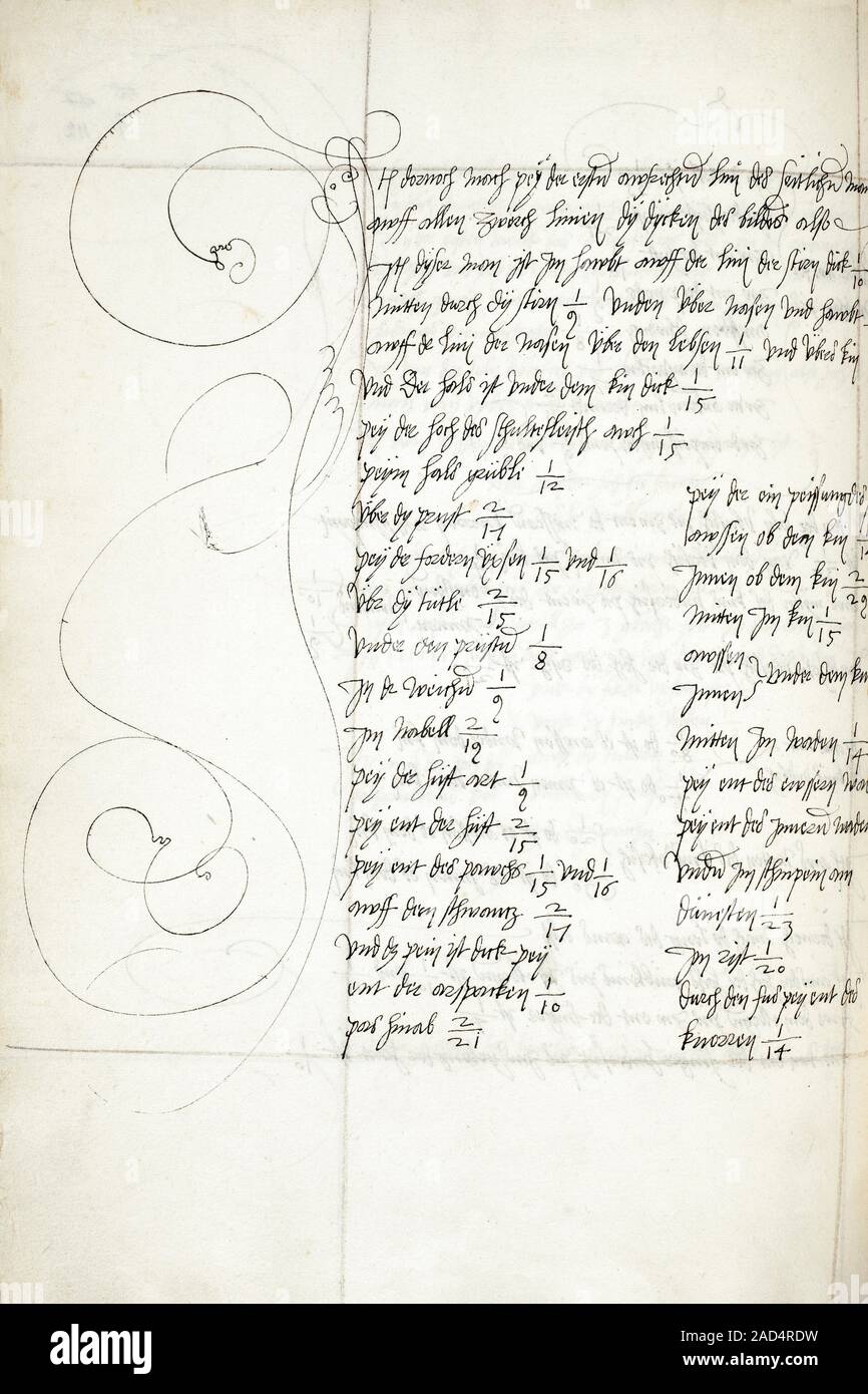 Study in human proportions by Durer. Text by German painter and artist ...