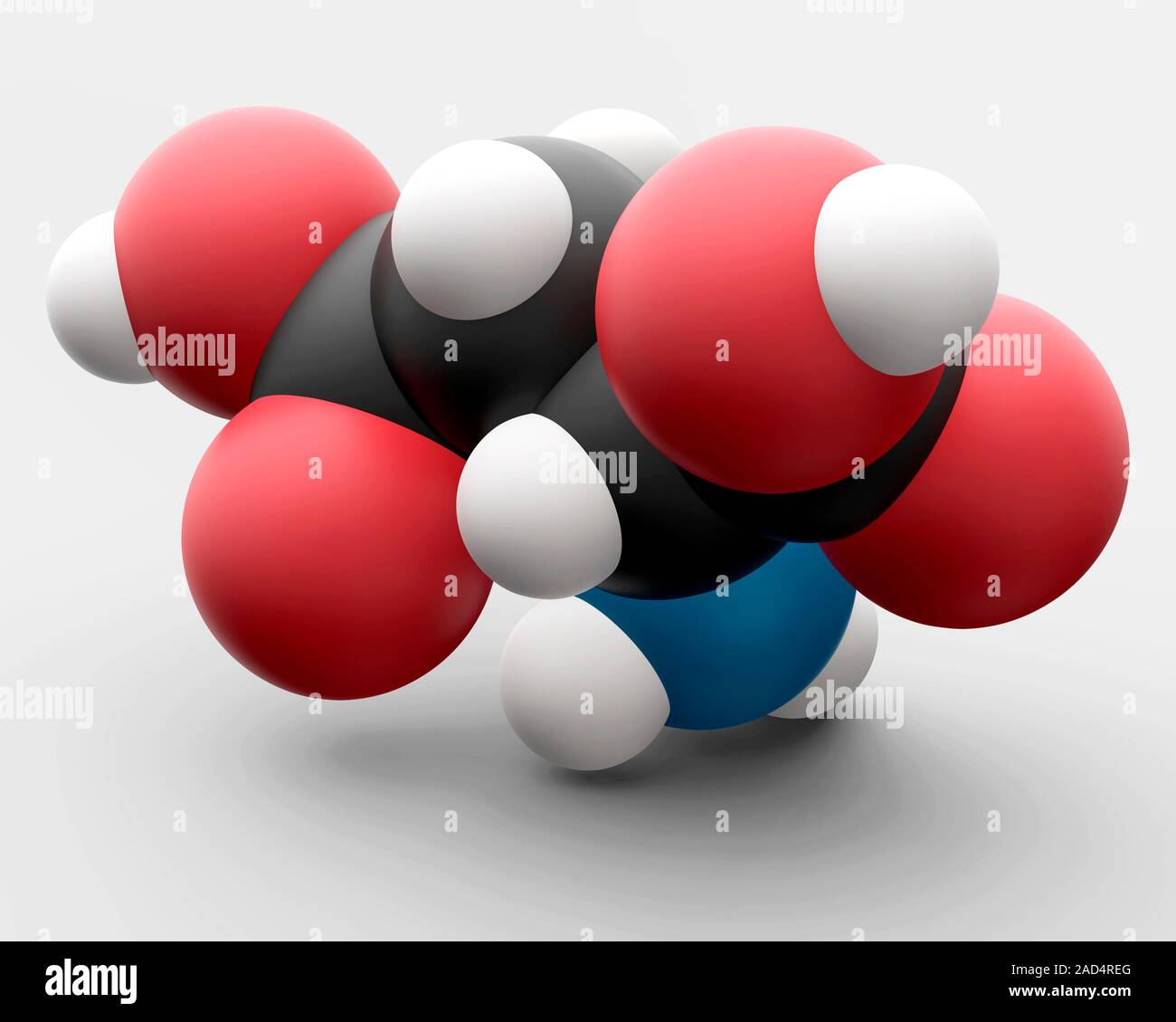 Molecular model of Aspartic Acid or Aspartate (C4. H7. NO4), a negative ...