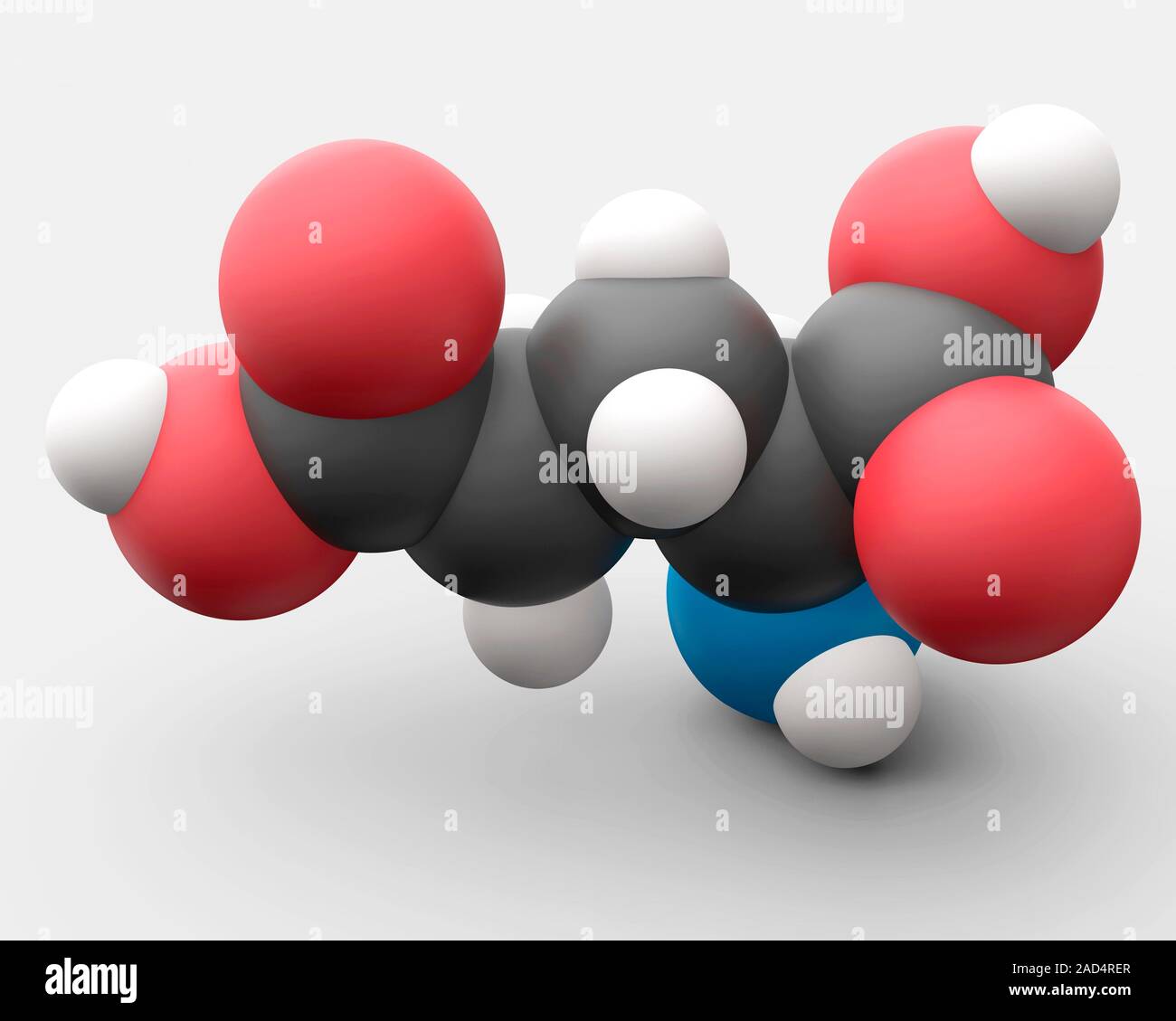 Molecular model of the Glutamic Acid (C5. H7. NO3), a non-essential ...