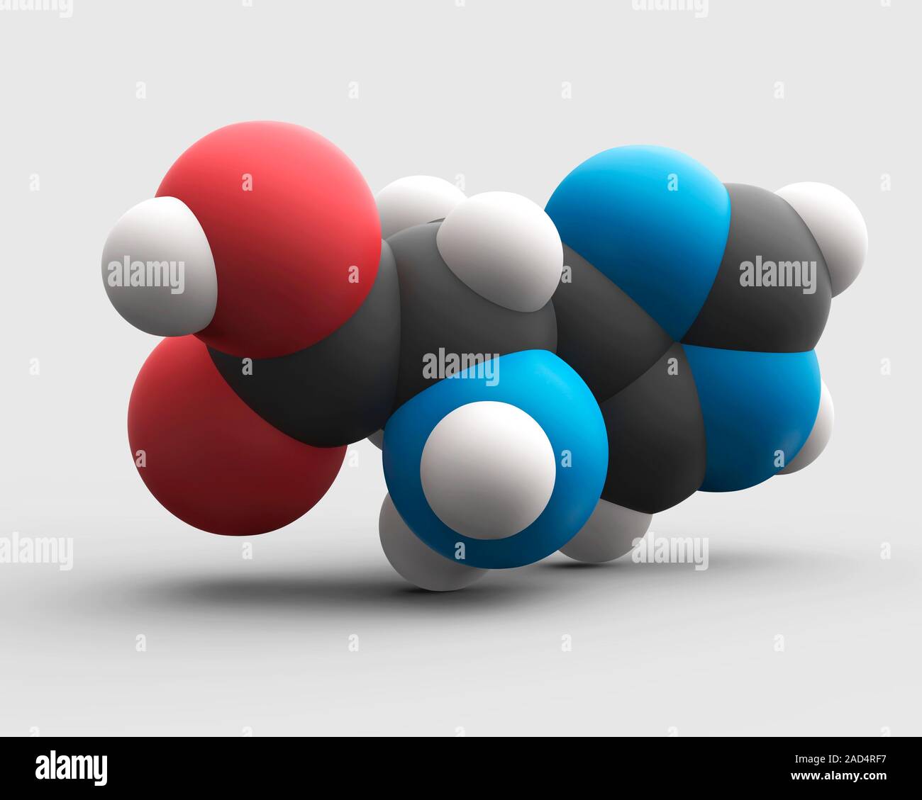 Molecular model of Histidine an essential amino acid produced in very ...