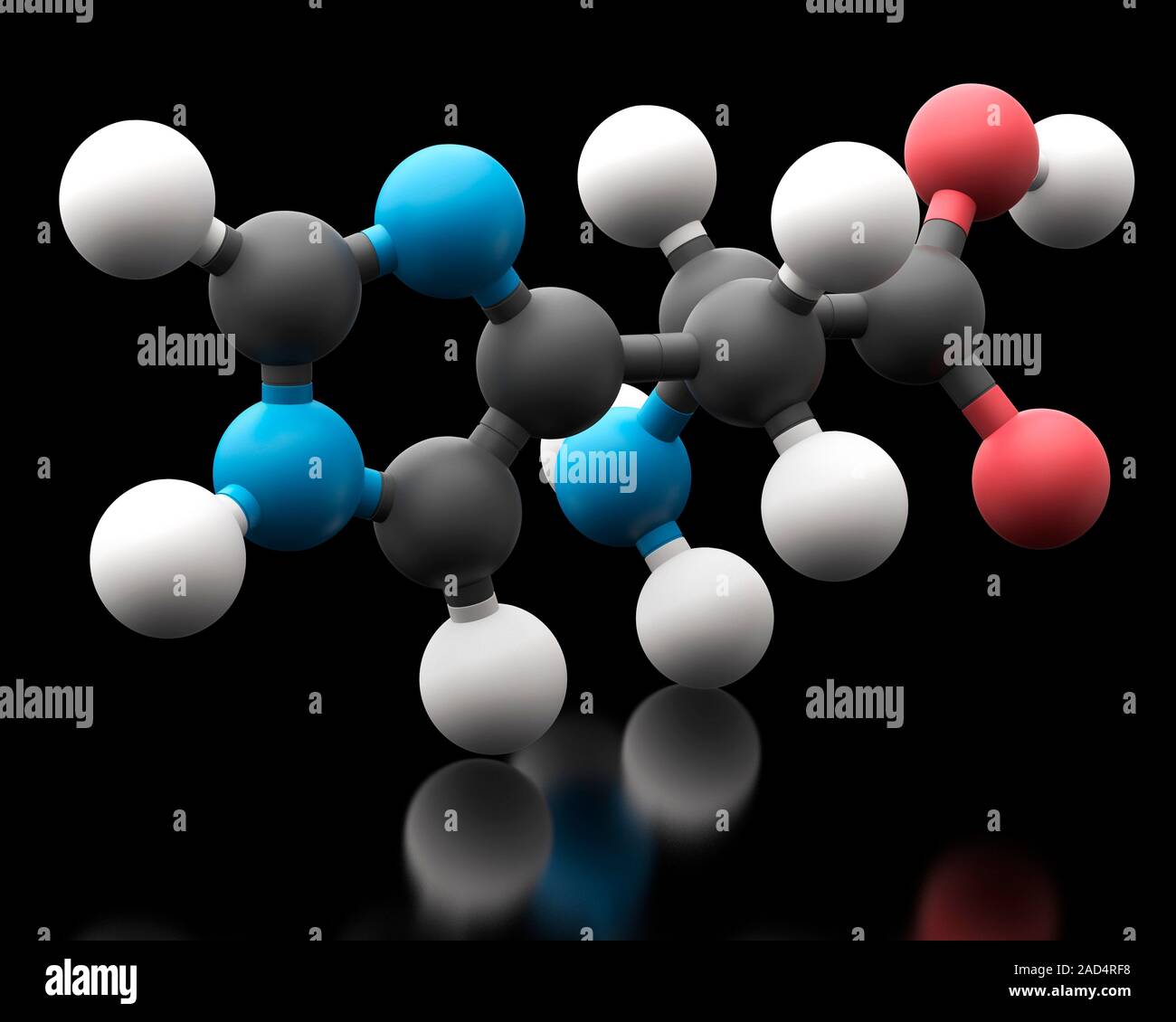 Molecular model of Histidine an essential amino acid produced in very ...