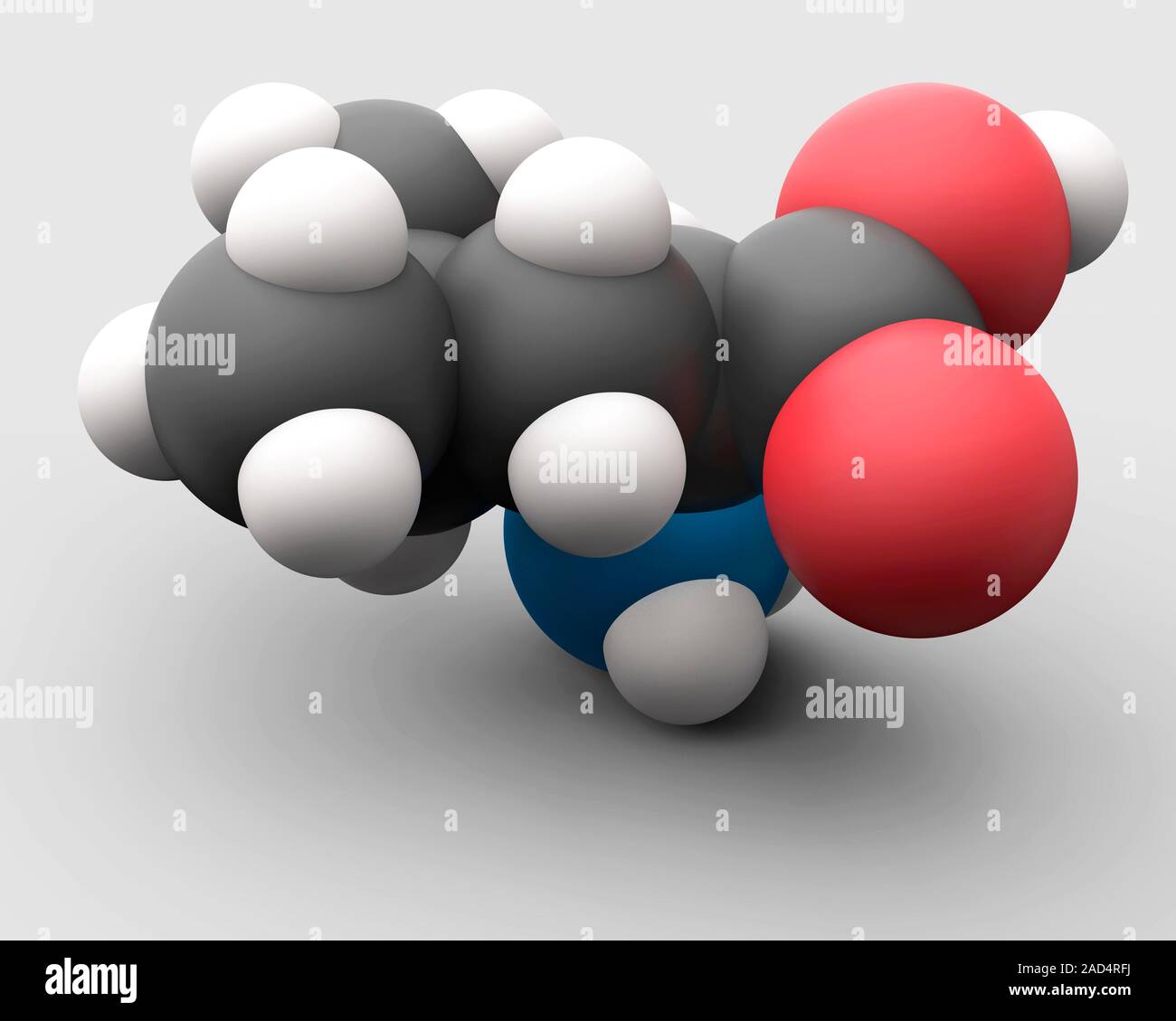 Computer artwork of the molecule of Leucine, an essential amino acid ...