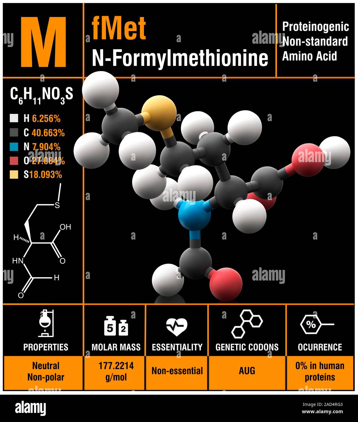 Computer artwork of the molecule of N-Formylmethionine, a proteinogenic ...