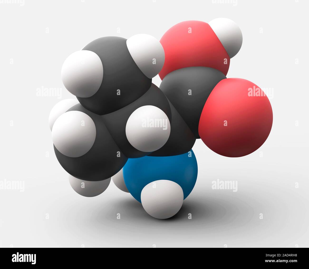 Molecular model of the essential alpha-amino acid valine (C5. H11. N ...