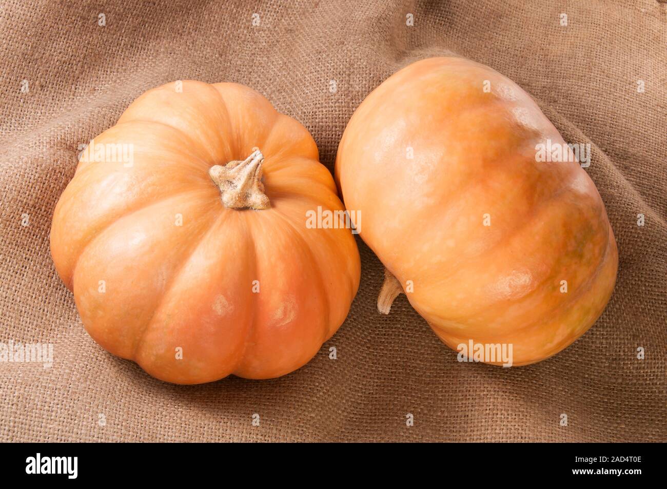 Fon symbol hi-res stock photography and images - Alamy