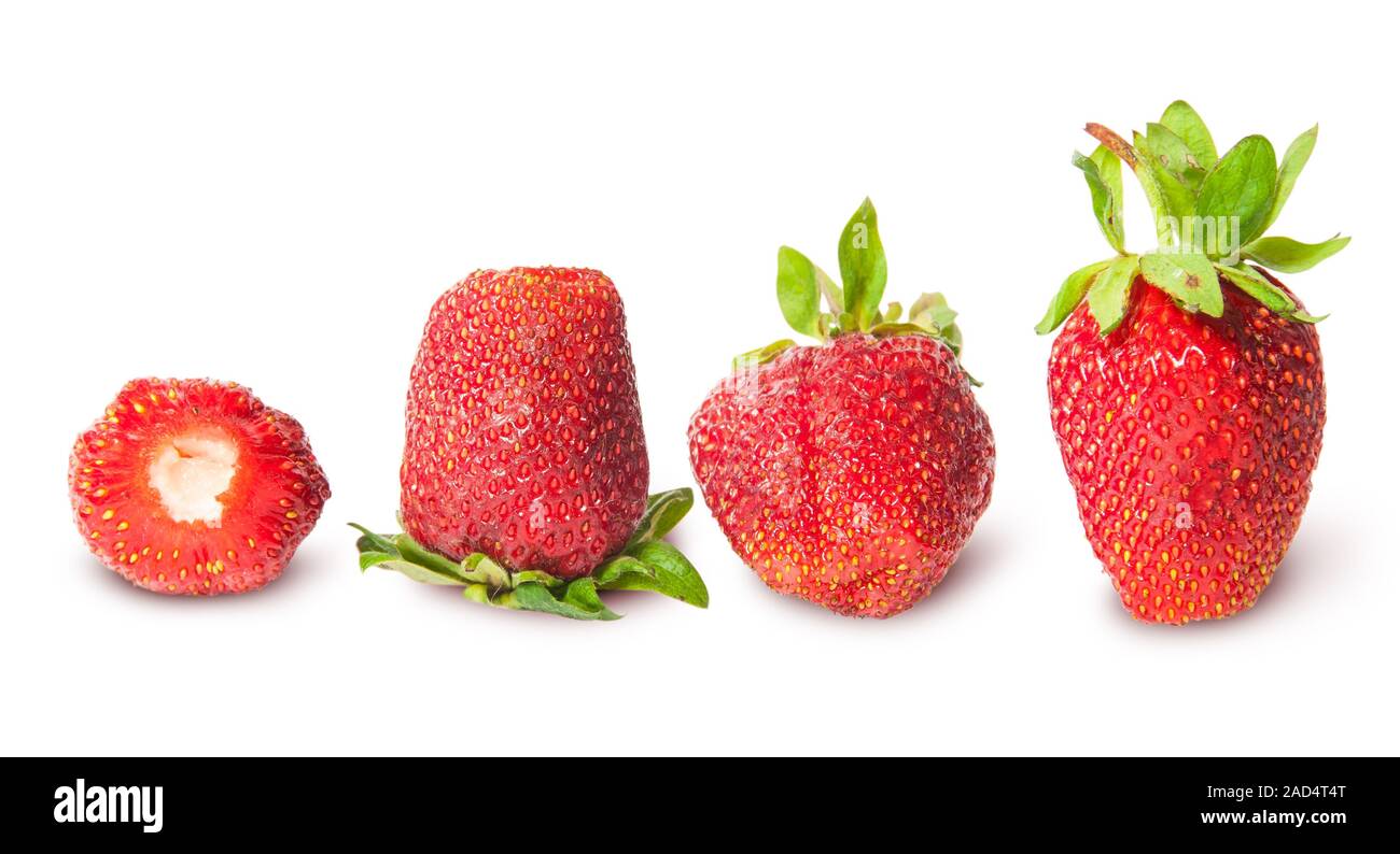 Four strawberries in a row Stock Photo - Alamy