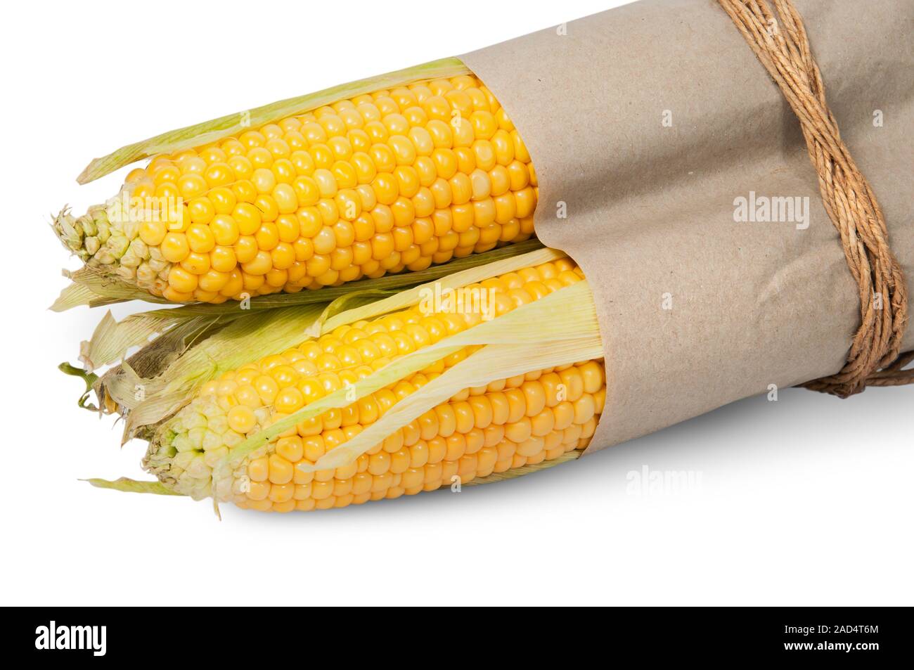 Several corn cob in paper bag tied with rope Stock Photo - Alamy