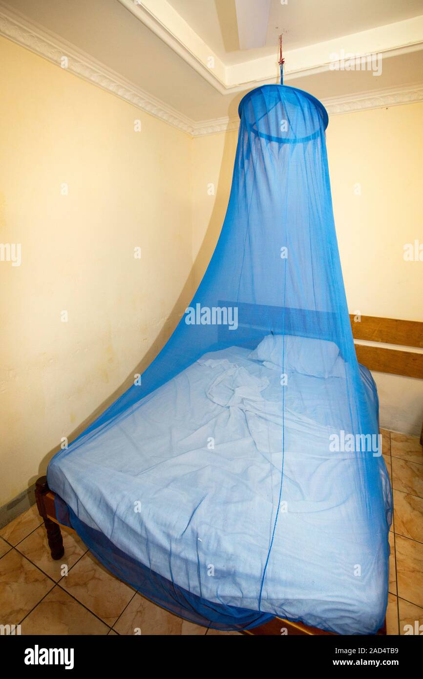 A mosquito net over a bed in a bedroom in a cheap hotel in Chikwawa ...