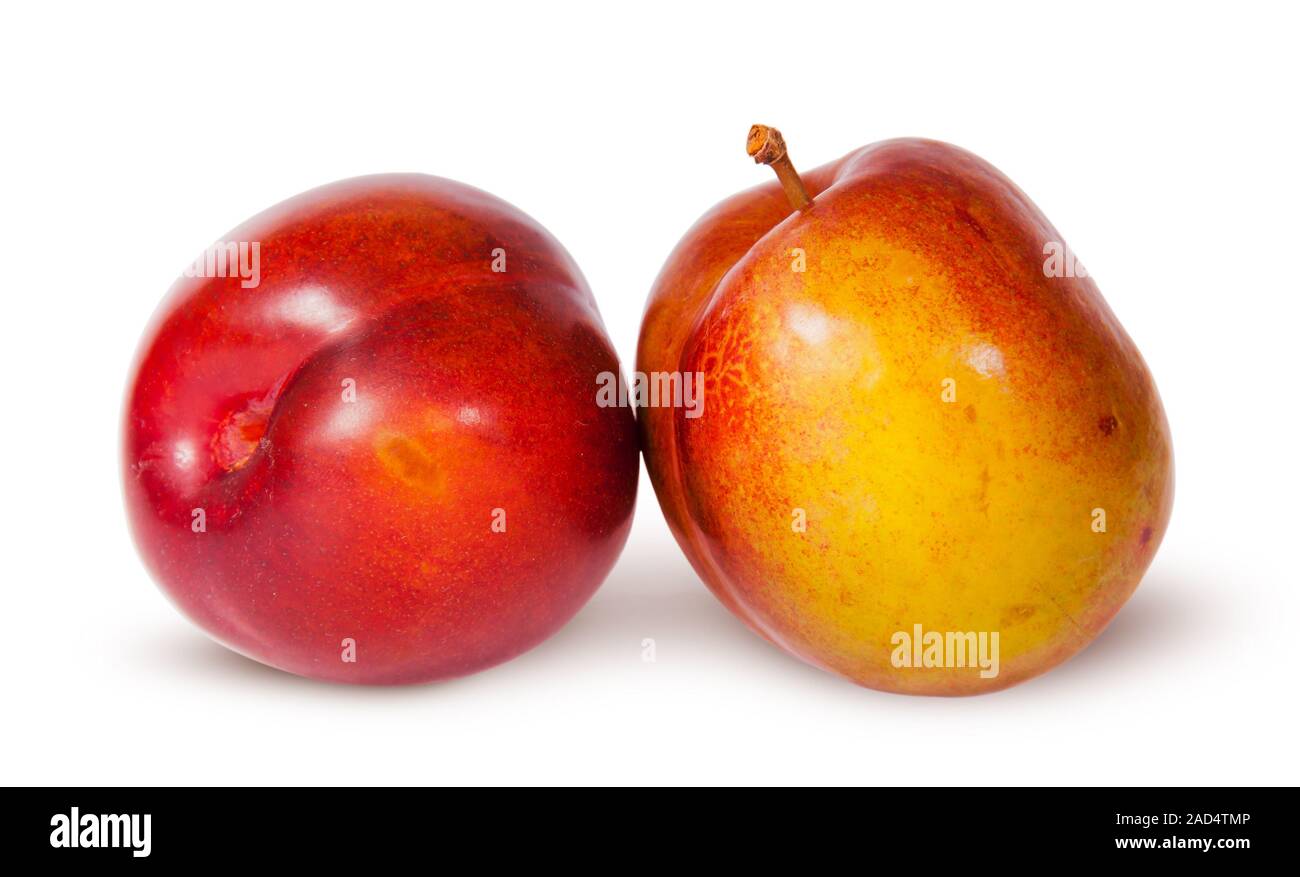 Red plum Cut Out Stock Images & Pictures - Alamy