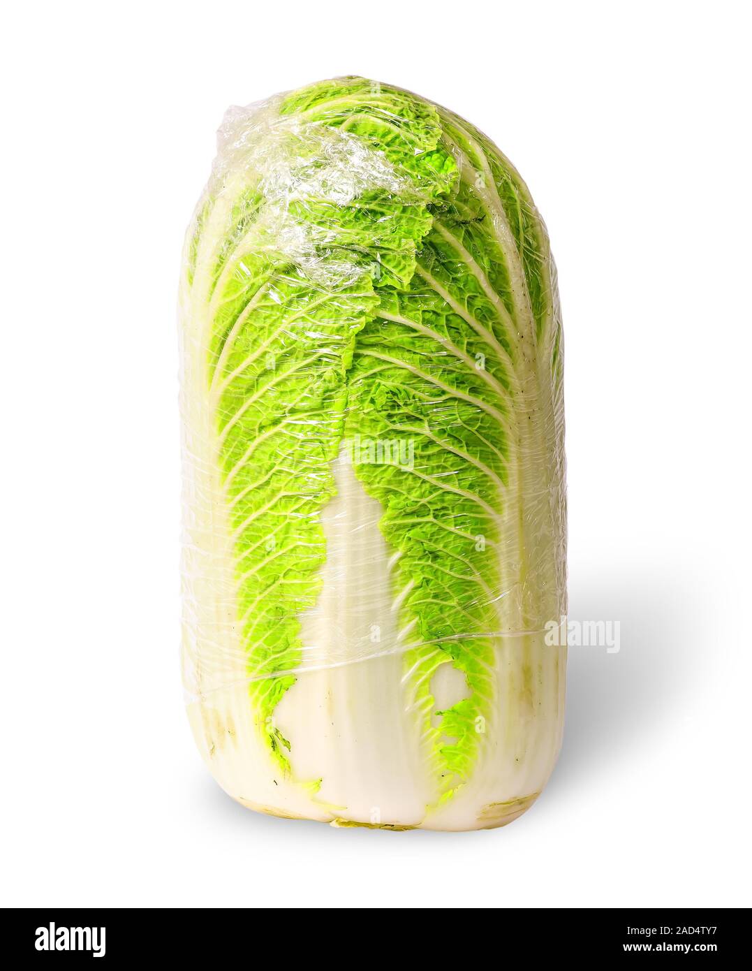 Chinese cabbage packed into polyethylene Stock Photo - Alamy