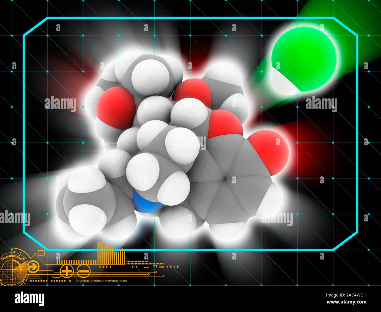 Buprenorphine hydrochloride. Molecular model of the drug buprenorphine ...
