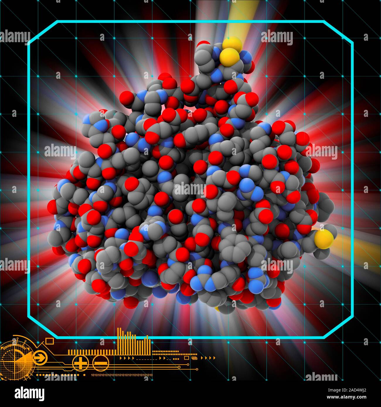 Dornase alfa. Molecular model of the drug dornase alfa. This drug, sold ...