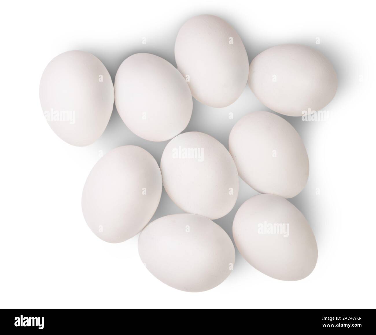View group white eggs hi-res stock photography and images - Alamy