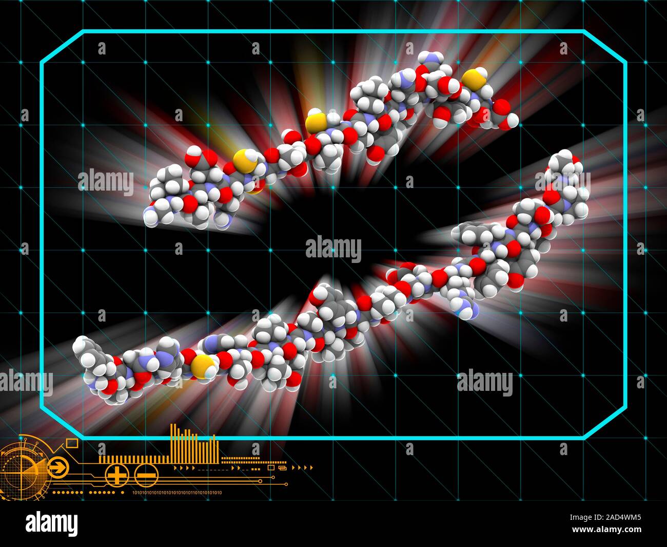 Insulin lispro. Molecular model of the drug insulin lispro (C257.H383 ...