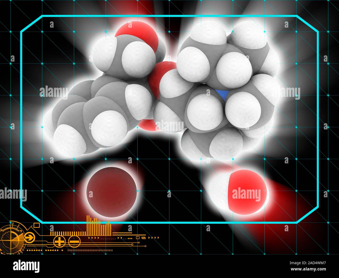 Ipratropium bromide hydrate. Molecular model of the drug ipratropium ...