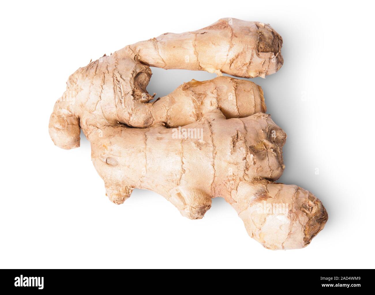 Entire view Cut Out Stock Images & Pictures - Alamy