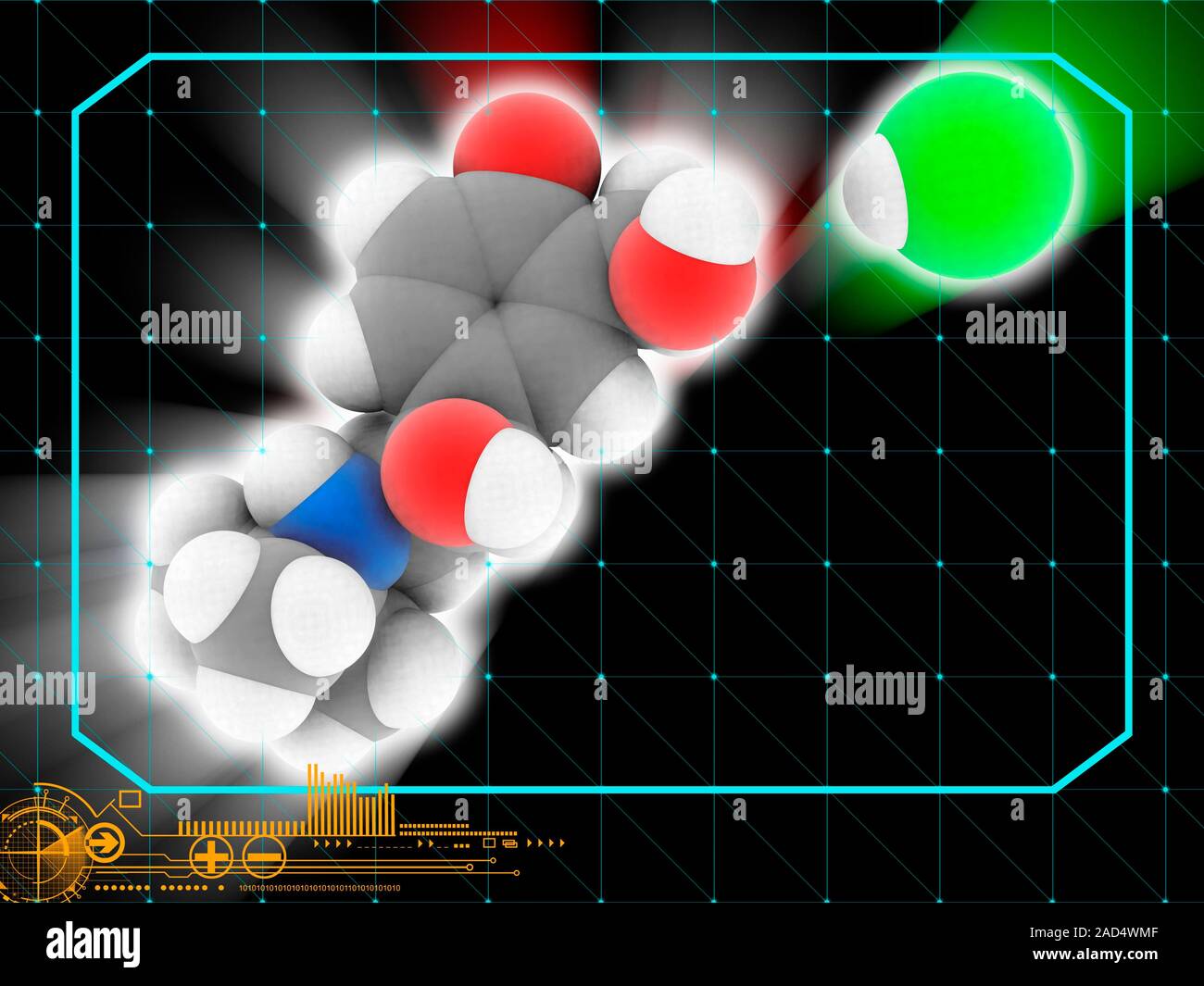 Levalbuterol hydrochloride. Molecular model of the drug levalbuterol ...