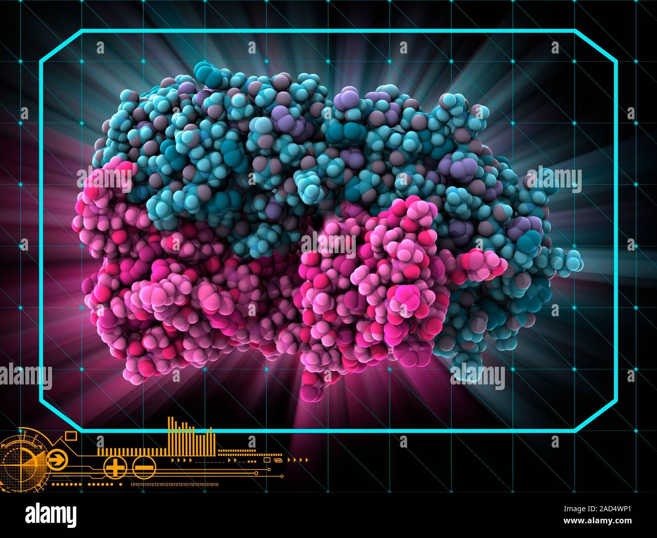 Natalizumab. Molecular model of the drug natalizumab. This monoclonal ...