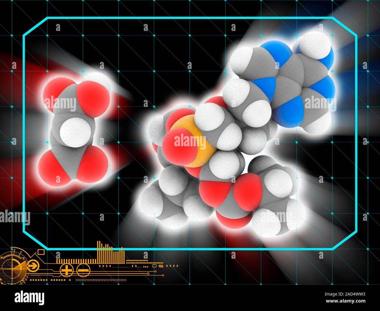 Tenofovir disoproxil fumarate. Molecular model of the drug tenofovir ...