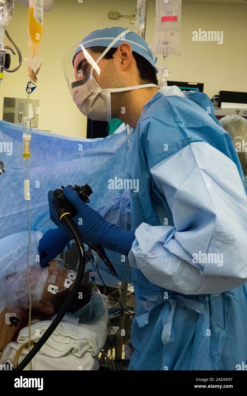 Endoscopy. Surgeon inserting an endoscope into a patient's oesophagus ...