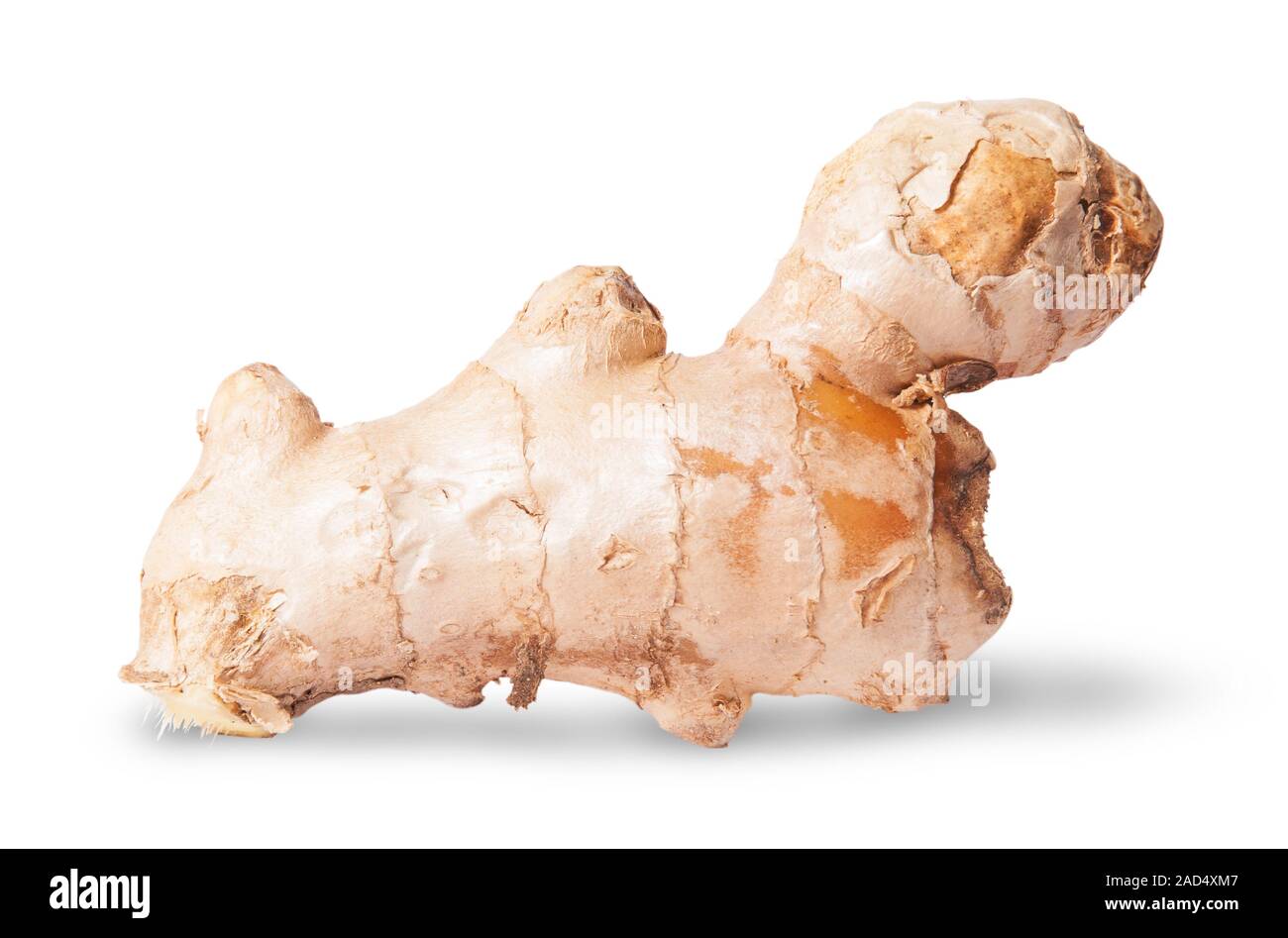 Half ginger root Stock Photo - Alamy